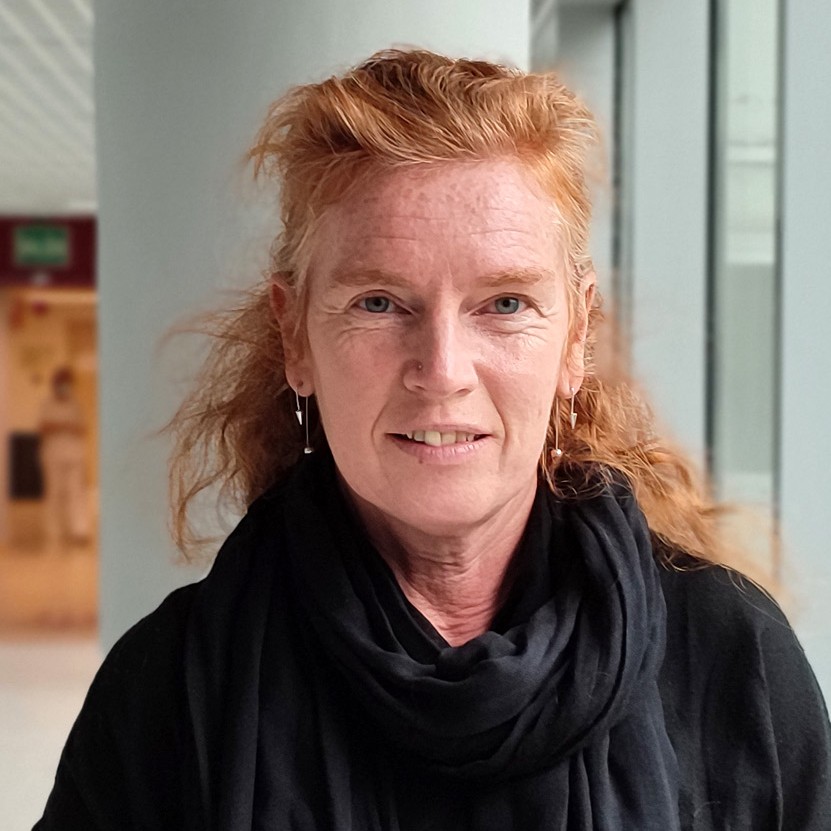 AEP Eventos Digitales: Courses